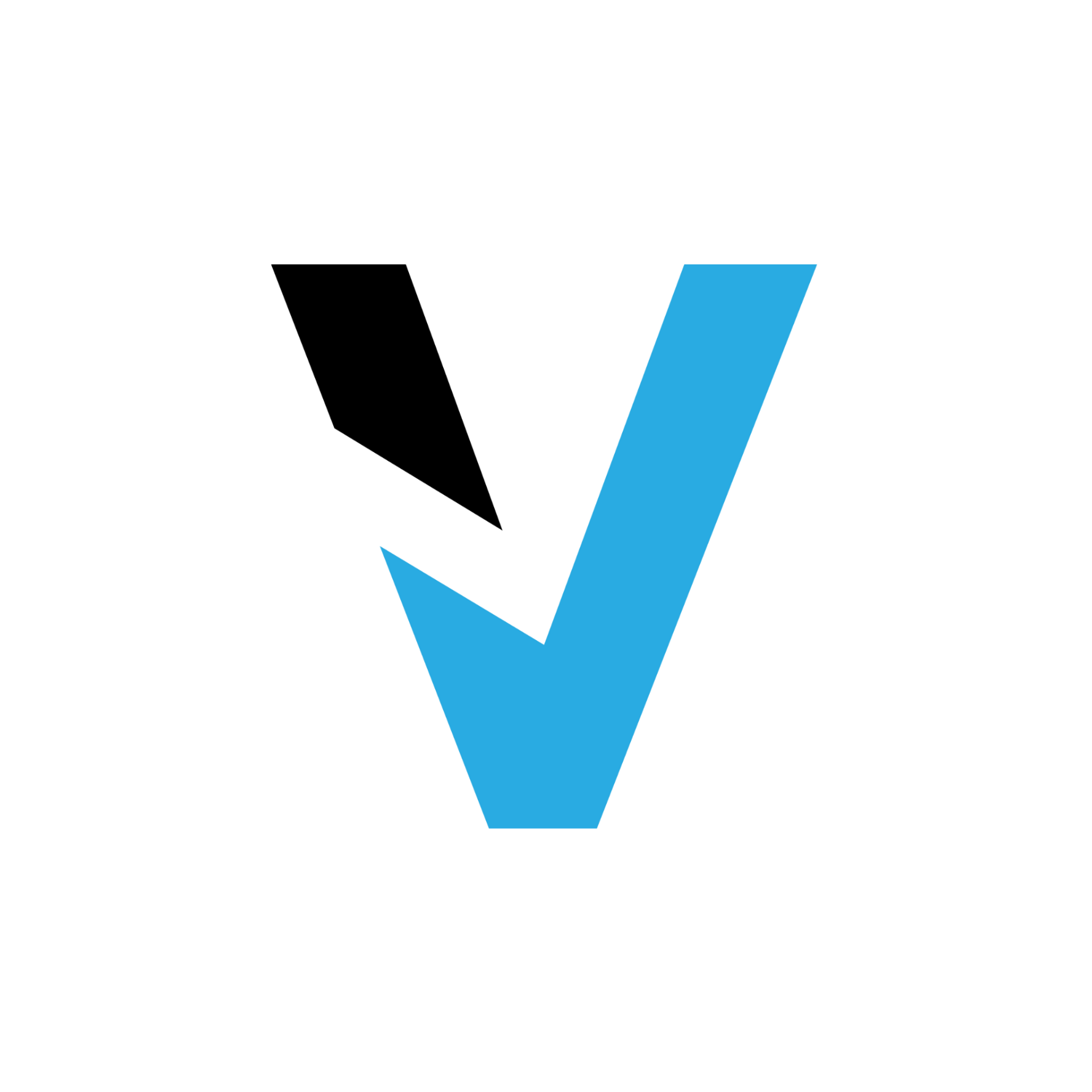 Investor